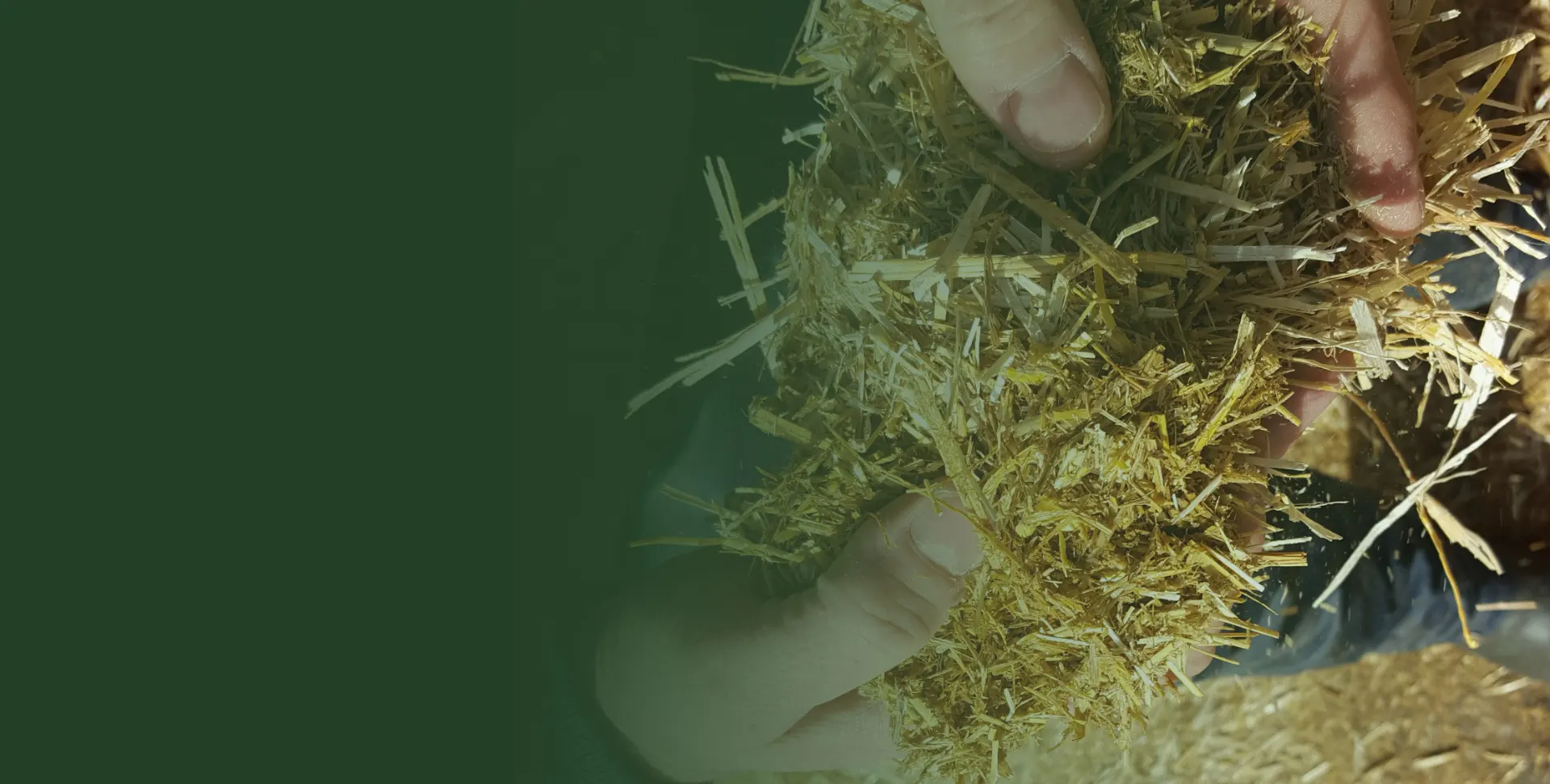 Silage Additives & Inoculants | Specialist Nutrition